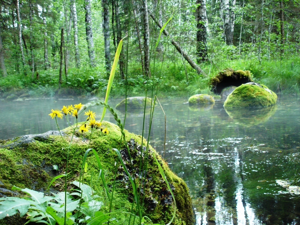 Miks kevadine pööripäev ei ole üks tavaline kolmapäev - Terviseviis